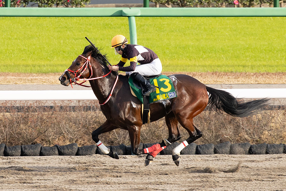 ヤングジョッキーズシリーズFR 中山｜web Furlong