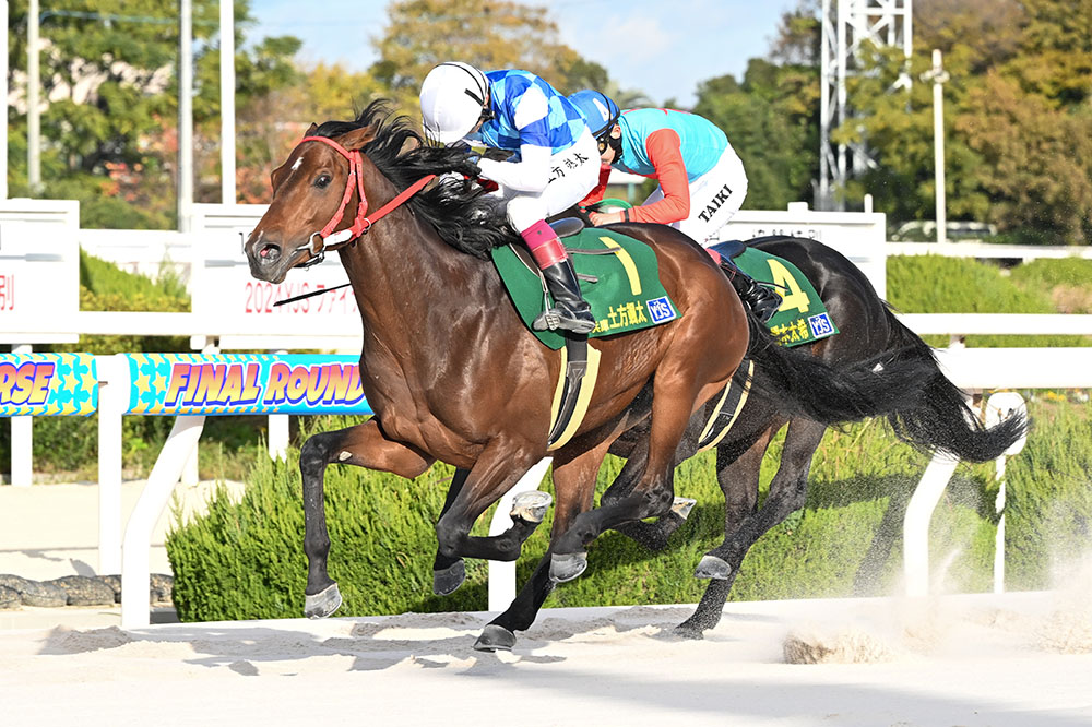 ヤングジョッキーズシリーズFR 園田｜web Furlong