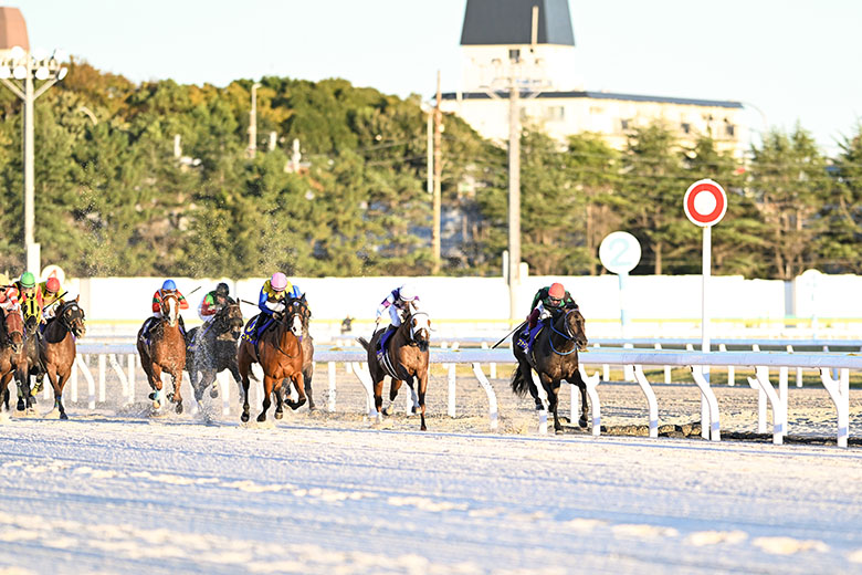 第25回JBCスプリントJpnI｜web Furlong