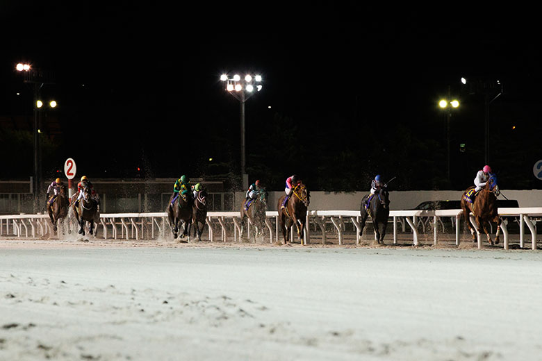 第25回JBCクラシックJpnI｜web Furlong